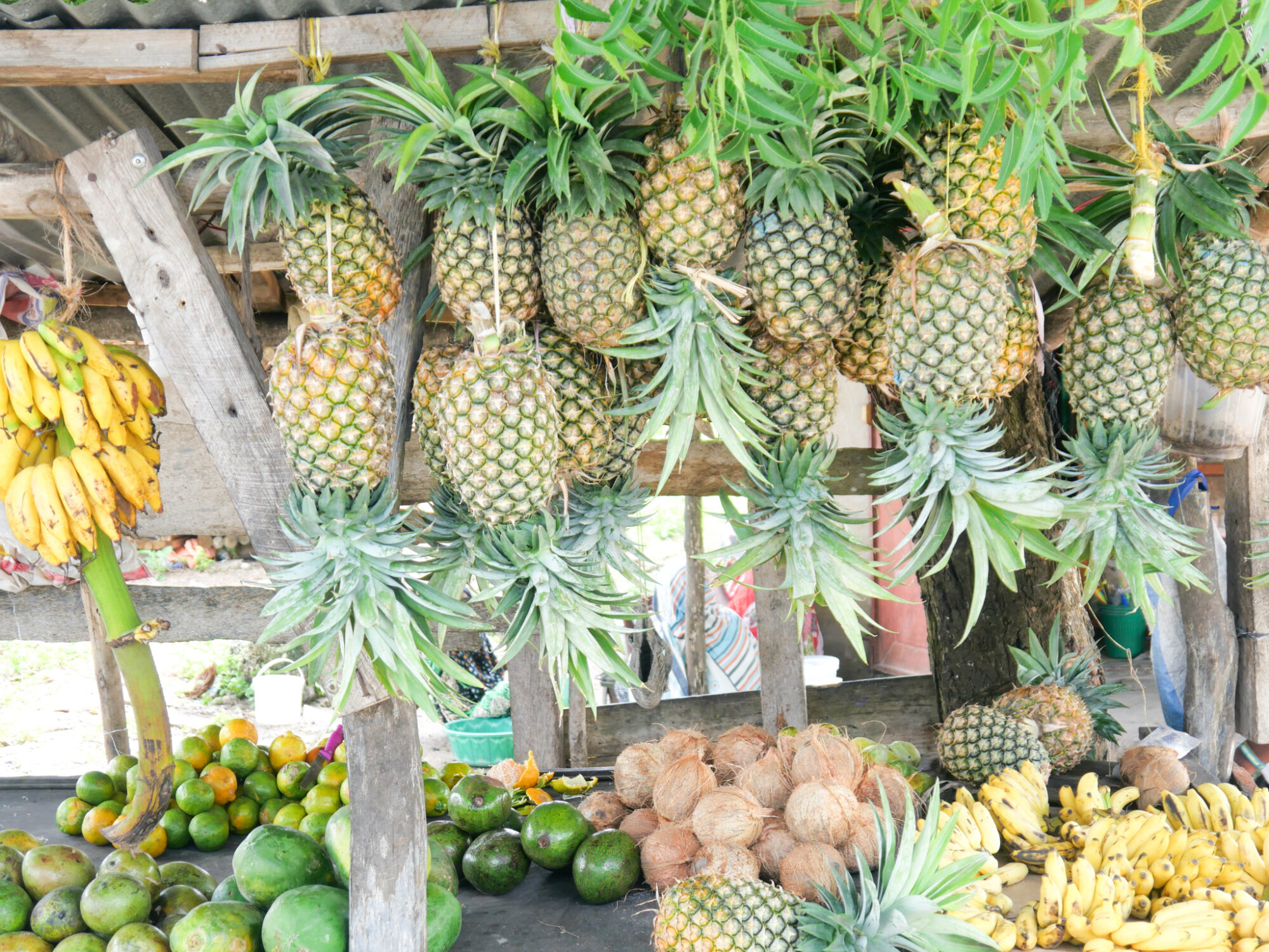 Zanzibar Island - Discovering Paradise with Jasmine Sidibe
